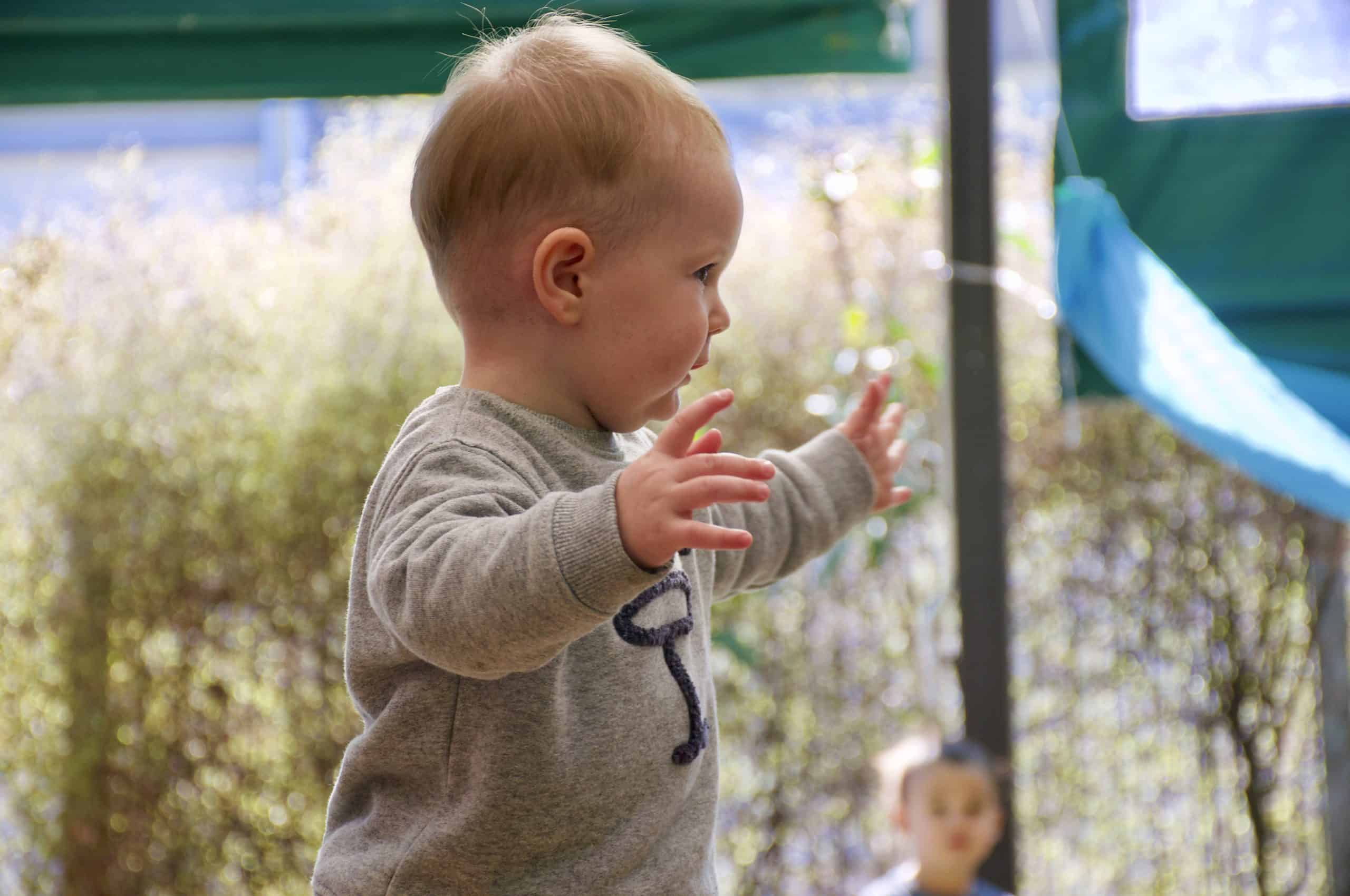 Infants and toddlers - THE EDUCATION HUB