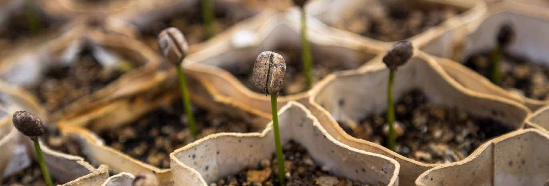 ILE and learning - THE EDUCATION HUB