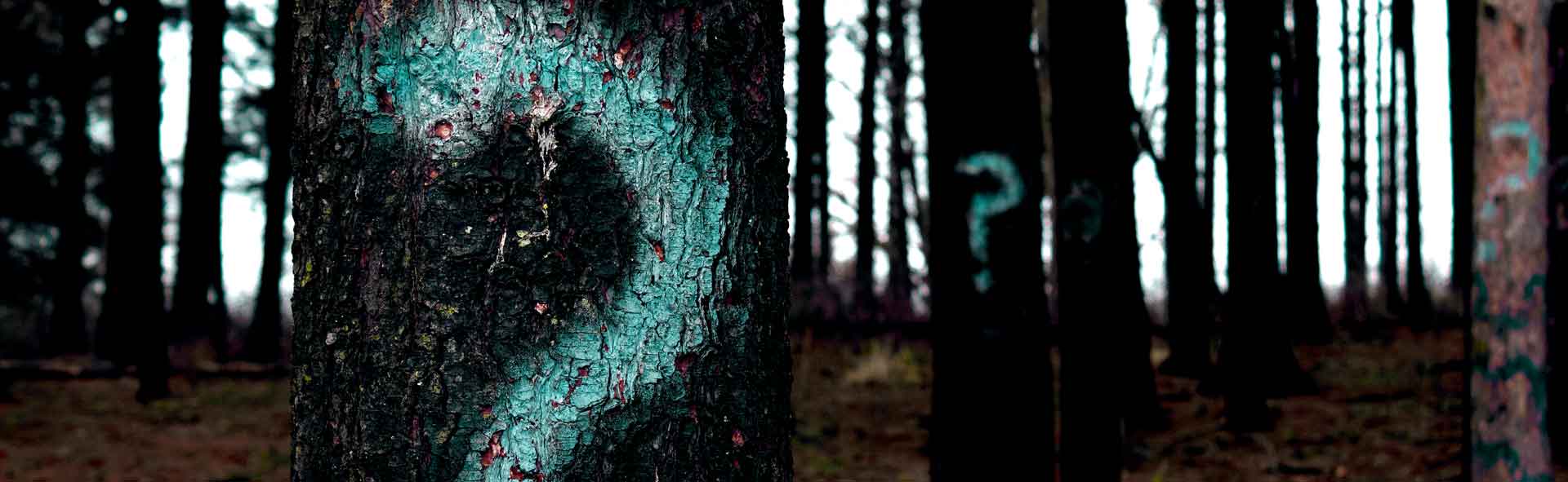 What is an ILE? - THE EDUCATION HUB