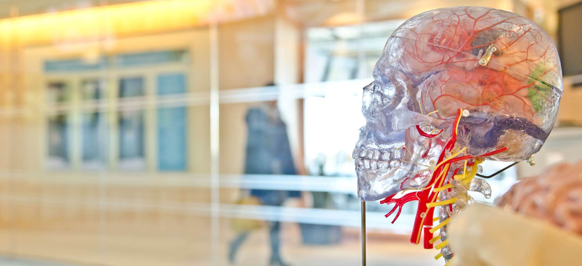 Science of learning - THE EDUCATION HUB
