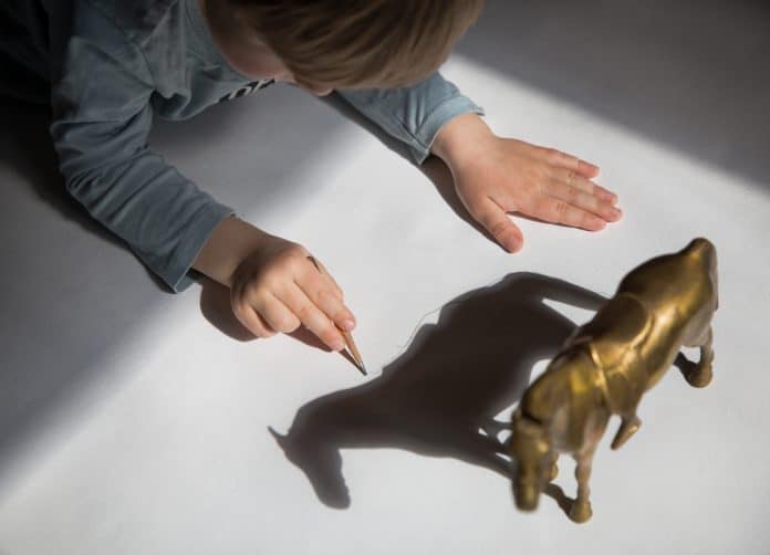 Shadow drawing - THE EDUCATION HUB