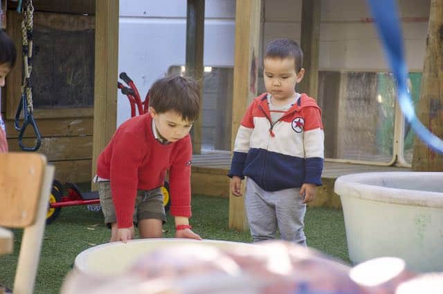 Designing an authentic, local curriculum in early childhood education ...