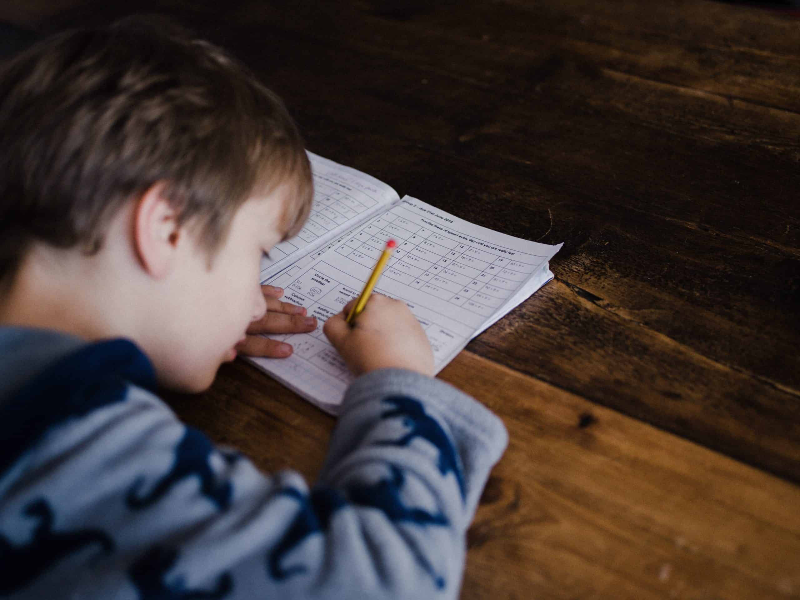 Homework for primary school students - THE EDUCATION HUB