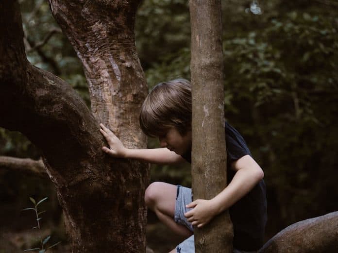 Play in early childhood education - THE EDUCATION HUB