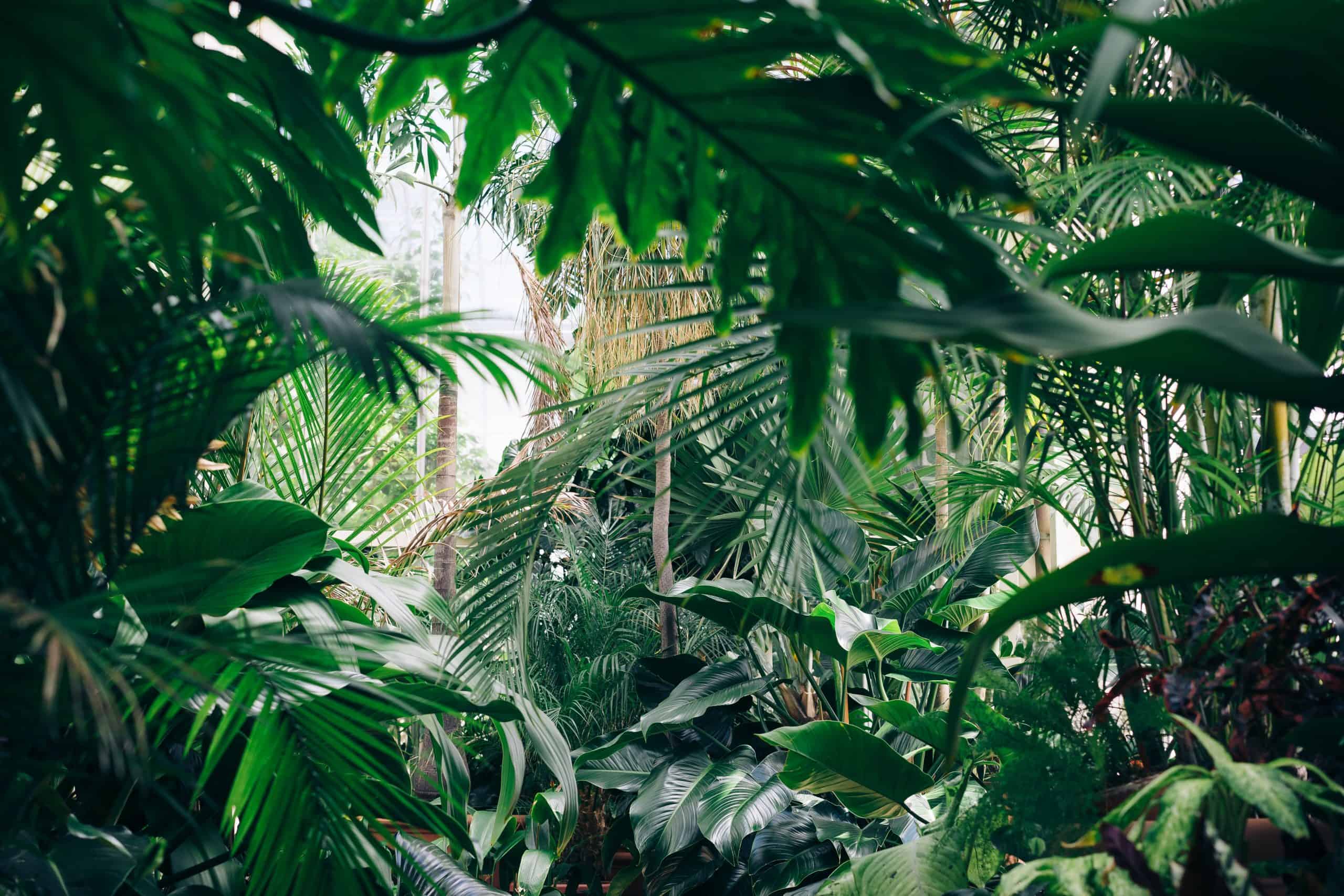 The importance of natural elements in outdoor spaces in ECE - THE ...