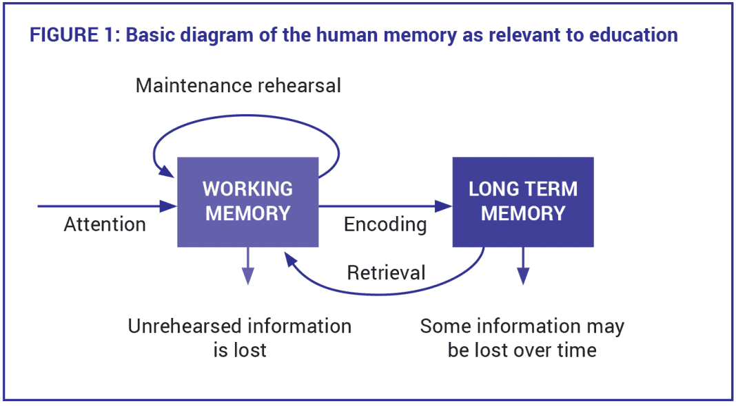 An introduction to cognitive load theory - THE EDUCATION HUB