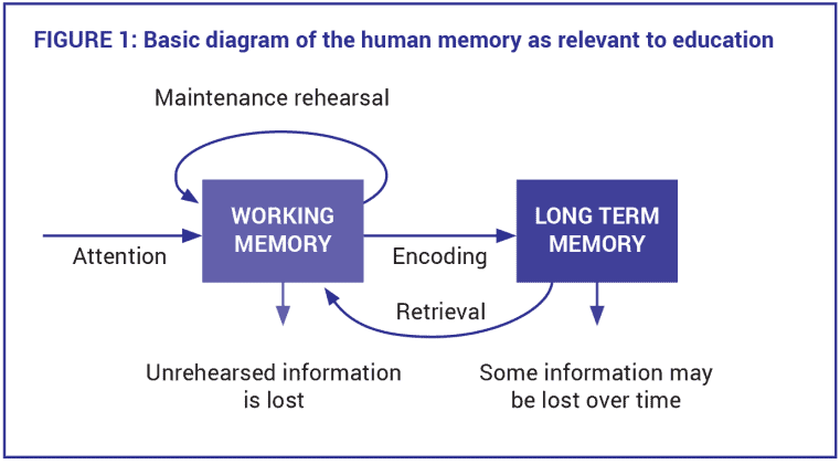 An introduction to cognitive load theory - THE EDUCATION HUB