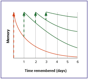Spaced practice and its role in supporting learning and retention - THE ...