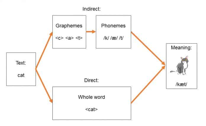 Theories of early literacy development - THE EDUCATION HUB