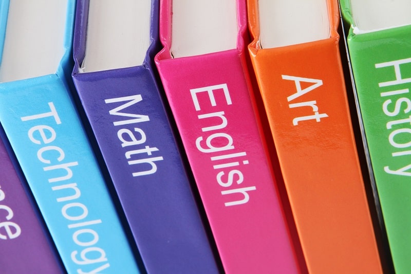 The impetus for the curriculum report - THE EDUCATION HUB