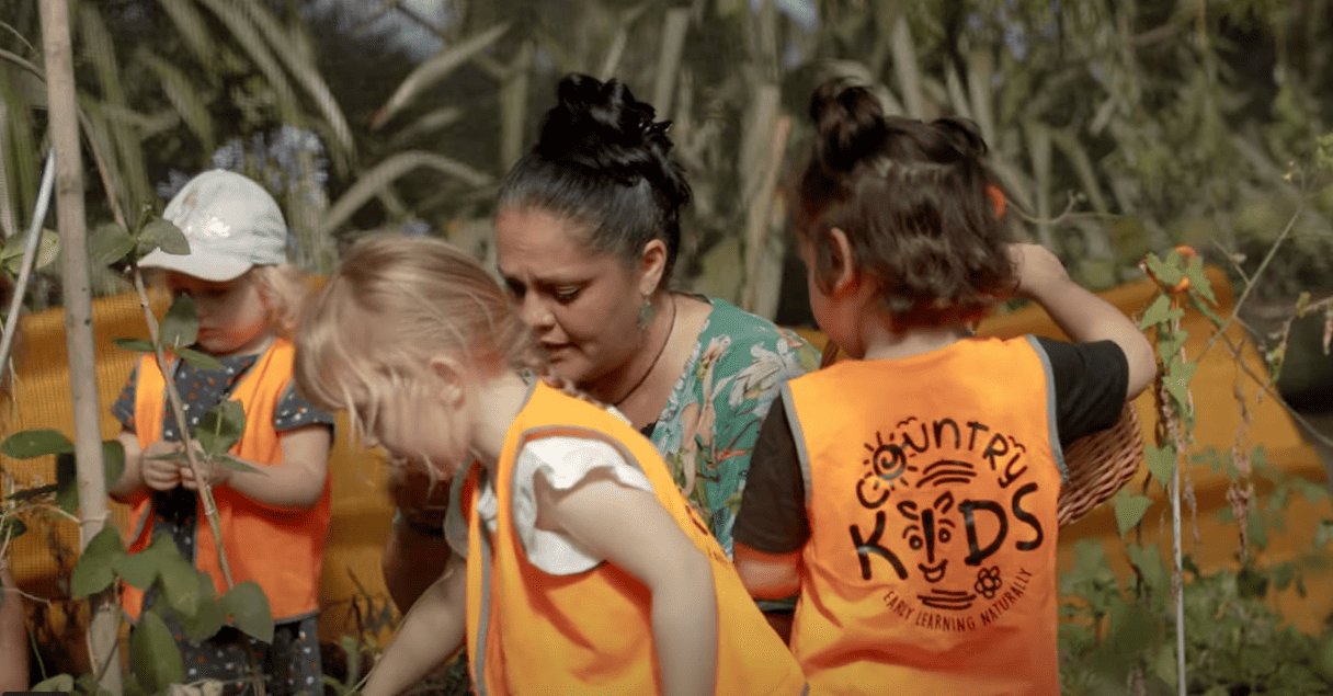 Gardening: a journey inspired by culture, values, dispositions, and ...