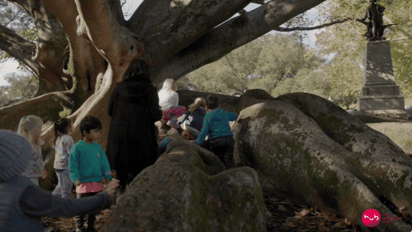 Local curriculum and learning outside the centre - THE EDUCATION HUB