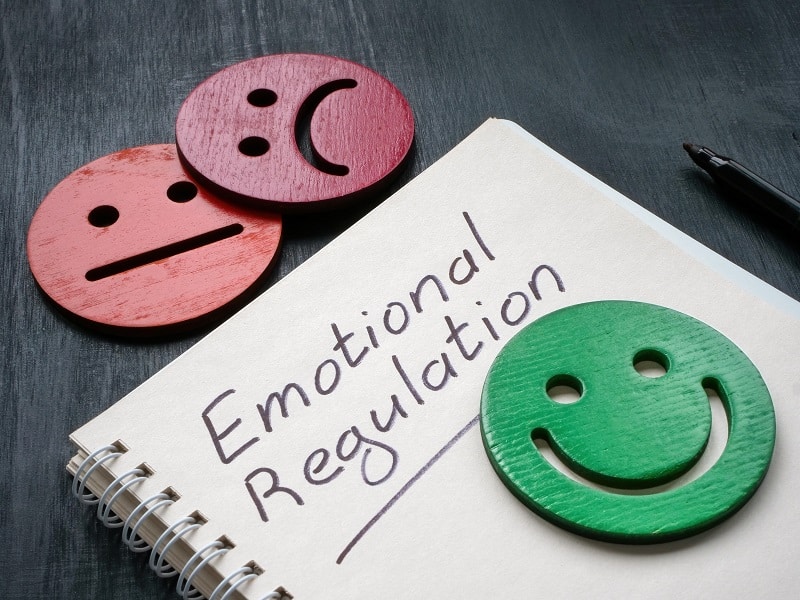 Understanding and supporting emotional self-regulation at school - THE EDUCATION HUB