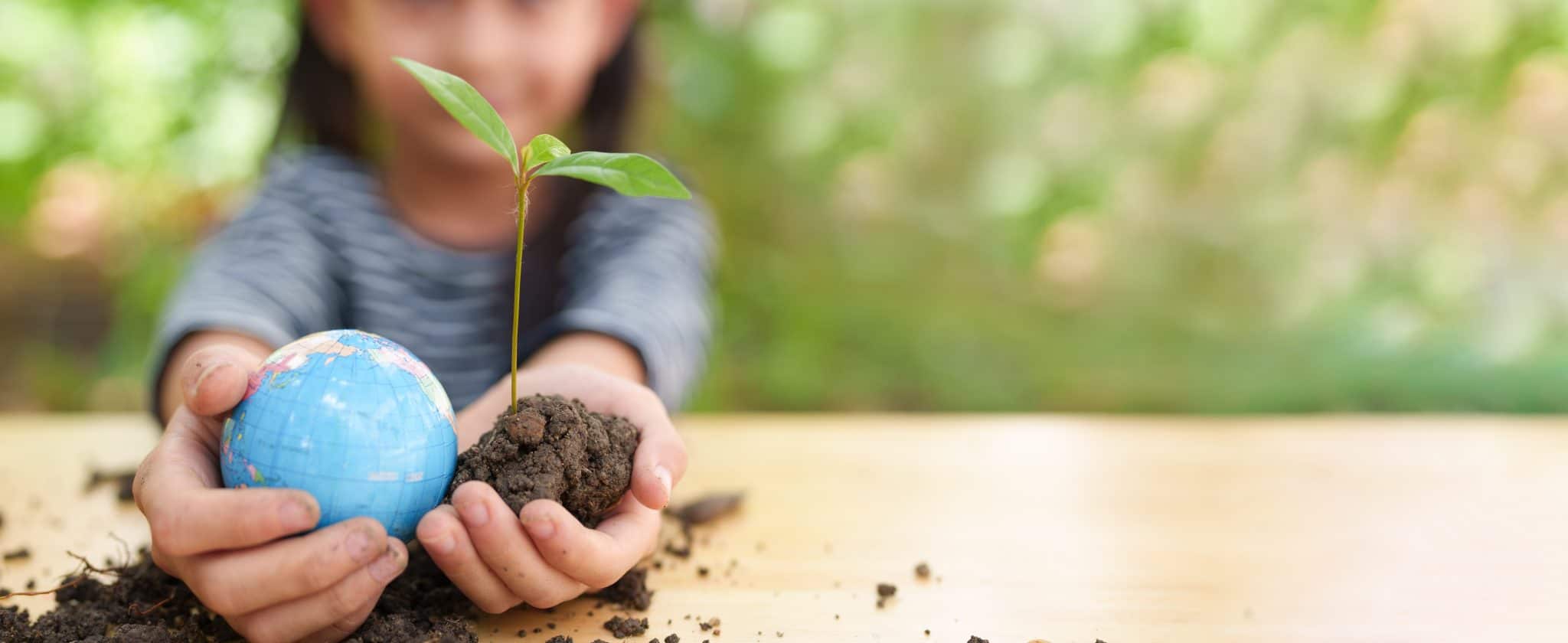 Exploring sustainability practices with children in early childhood ...