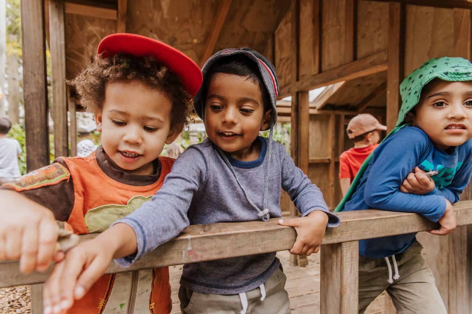Curriculum design in early childhood education - THE EDUCATION HUB