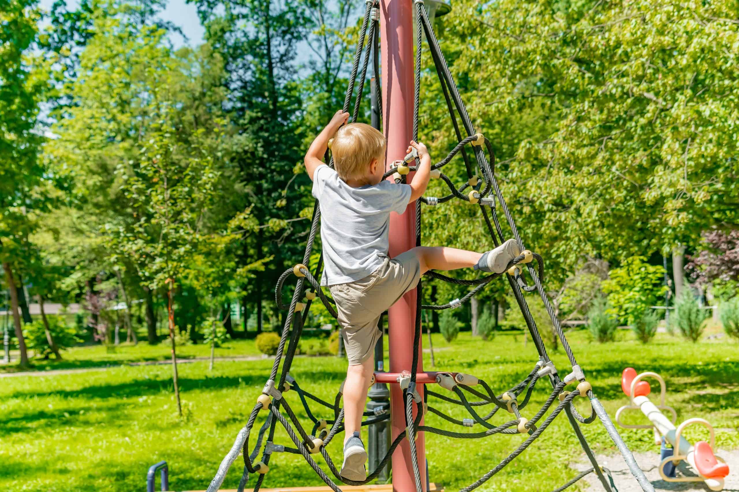 The physical sciences: Learning about physical objects and processes in ...